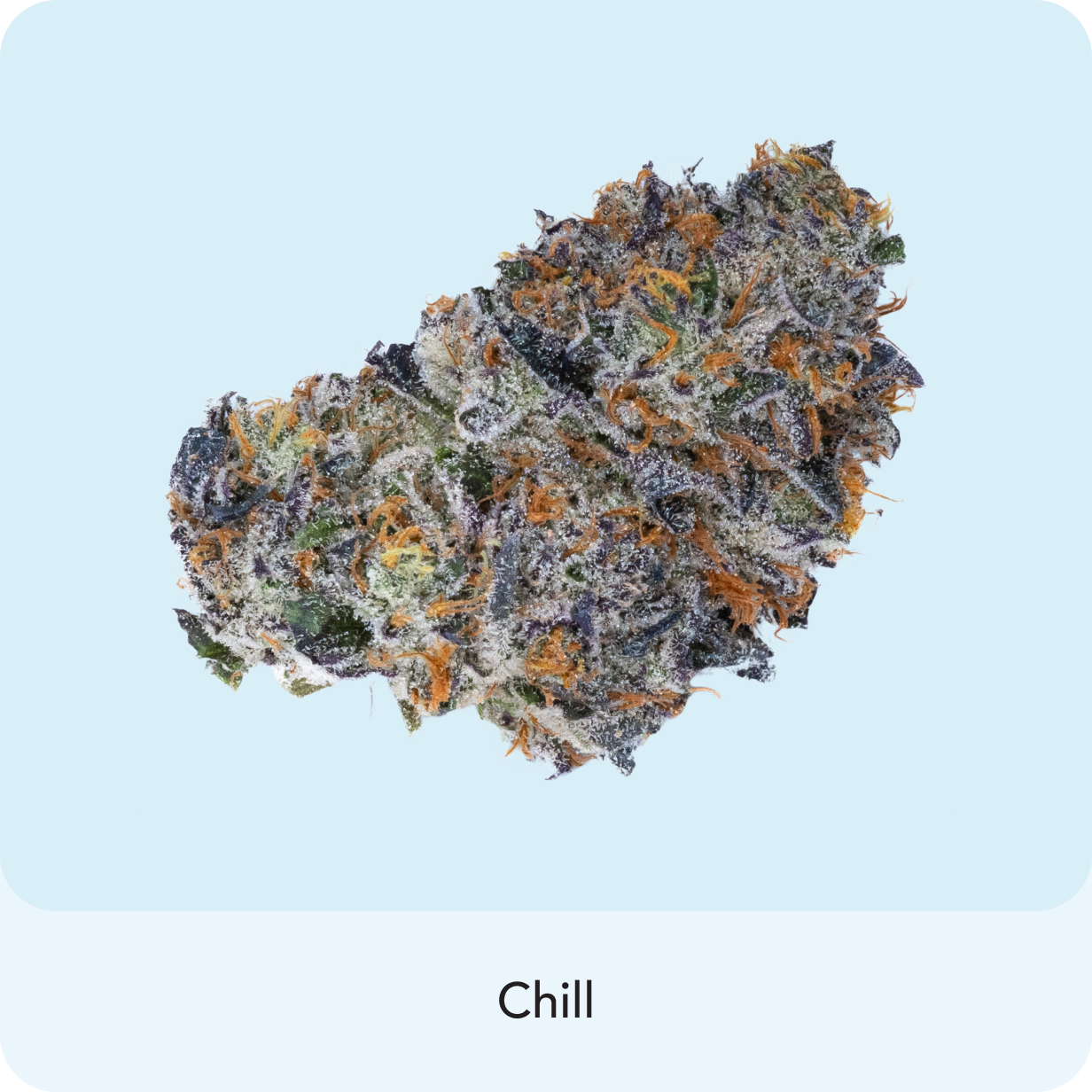 Illuminati Weed Strain: Effects, Flavor and Benefits Explained ...