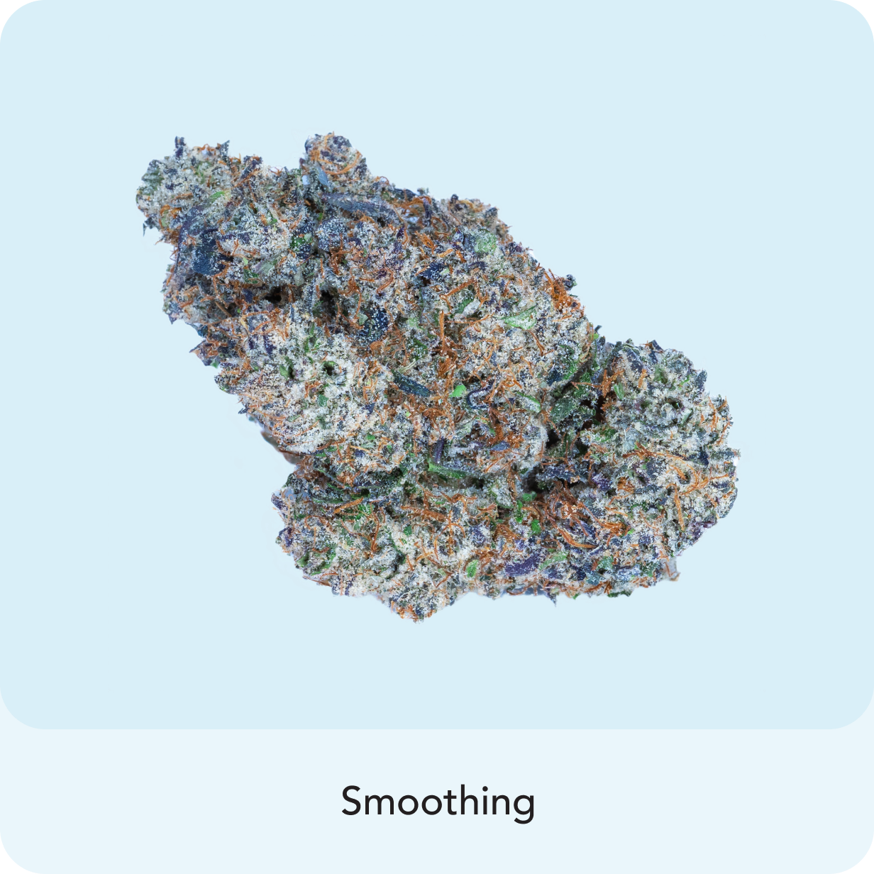 Zushi Candy Rain | Uplifting Hybrid with Sweet Flavors & Euphoric ...